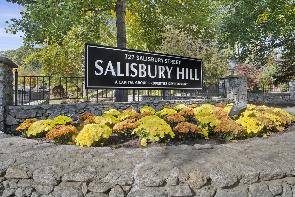 Salisbury Hill - Salisbury Hill